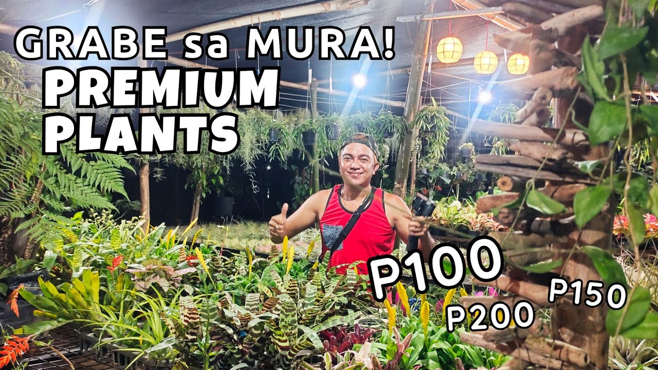 CHEAPEST PREMIUM & RARE PLANTS IN THIS GARDEN SHOP | ANG MURA NA NG ...