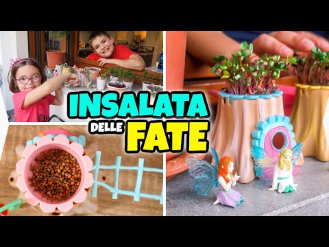 MANGIAMO L'INSALATA DELLE FATE e Coltiviamo Piantine Adorabili