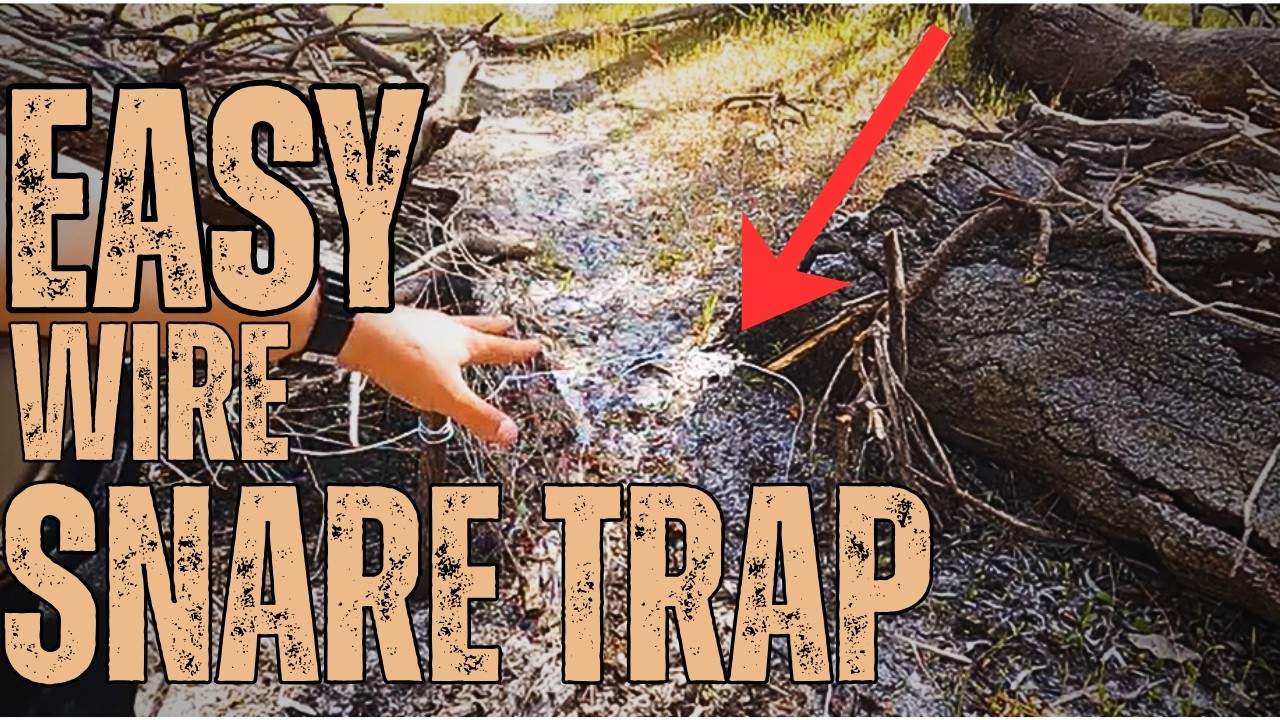 Easy Wire Snare Trap - YouTube
