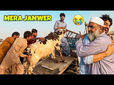FINALLY APNI QURBANI 2025 KE LIE JANWAR KHAREED LIA😍| MANDI VLOG| MISHKAT KHAN