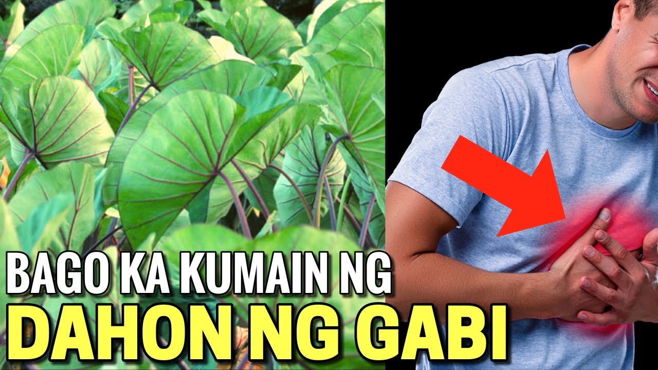 Ganito pala katindi ang epekto ng DAHON ng GABI sa kalusugan. Panuorin ...