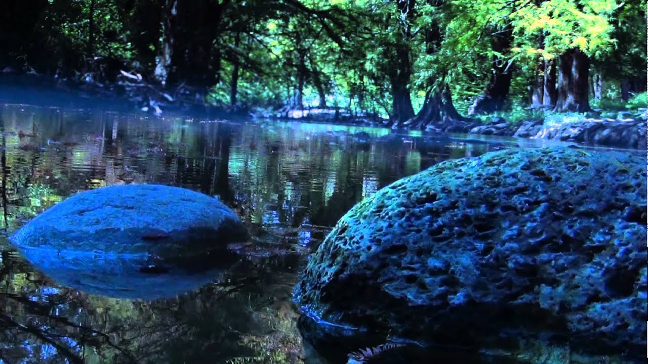 Guanajuato Las Musas LAS MUSAS Updated April 2025 13 Reviews