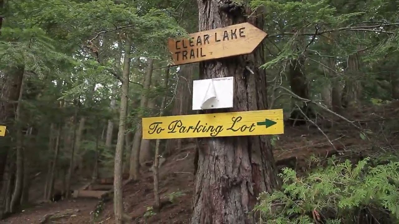 Clear Lake Trail ( Limberlost Wildlife Reserve ) - YouTube