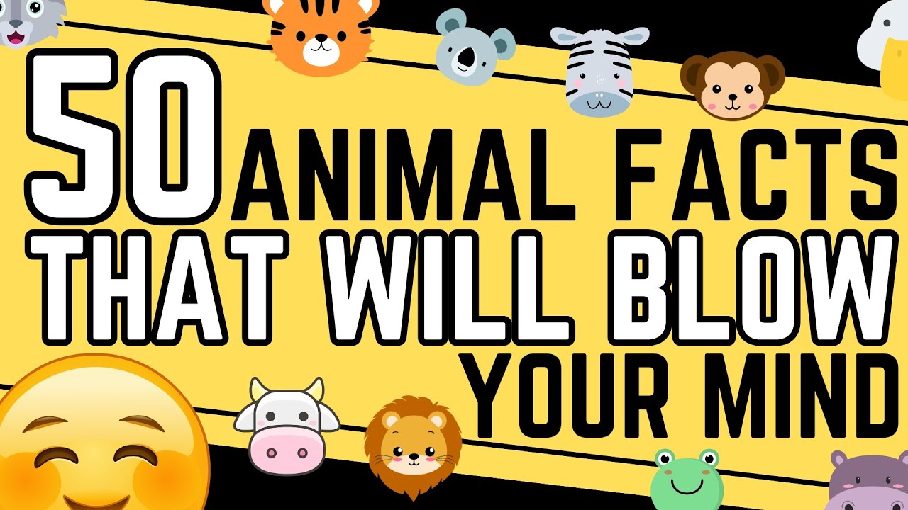 50 Random Animal Facts That Will Blow Your Mind | Surprising, Fun ...