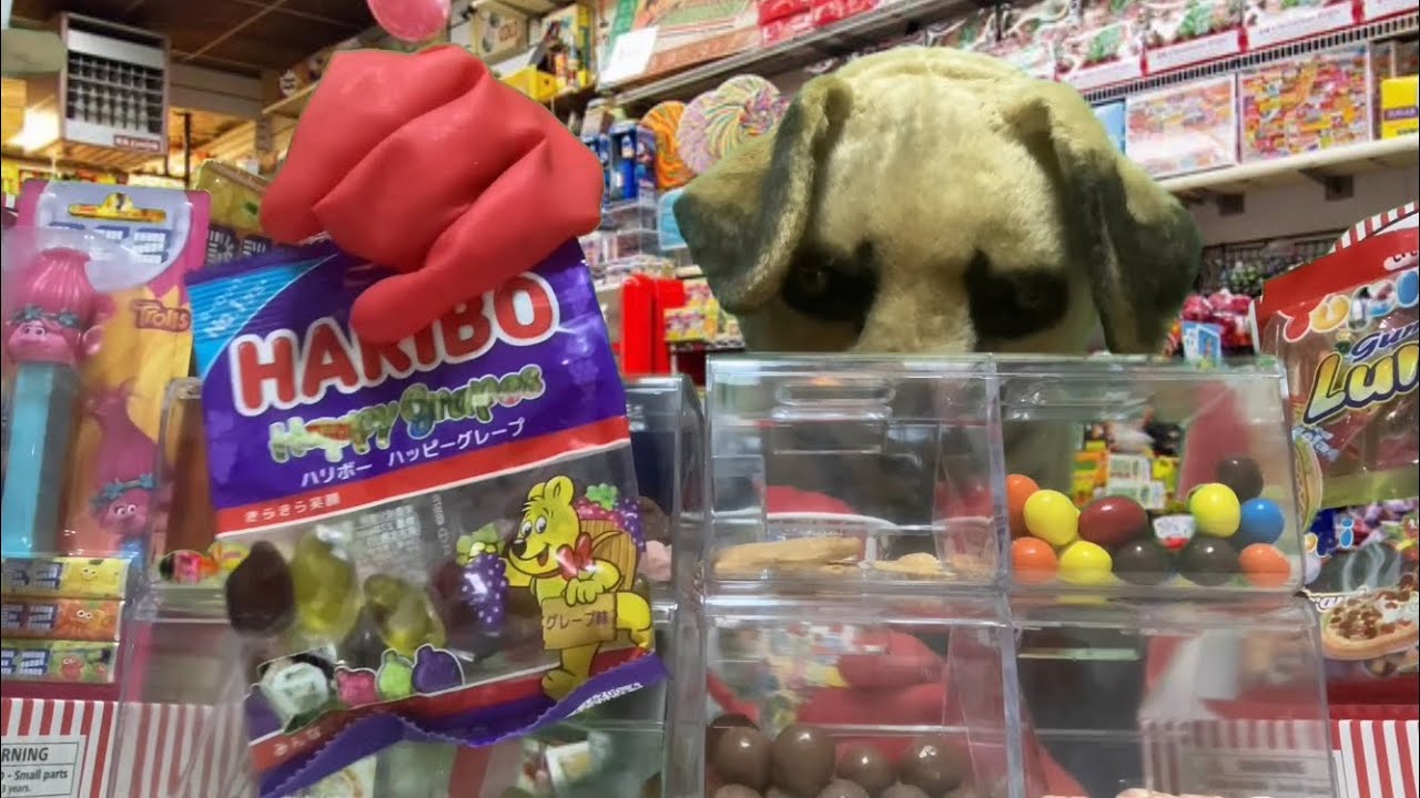 [ASMR]Candy store Role Play (no talking) - YouTube