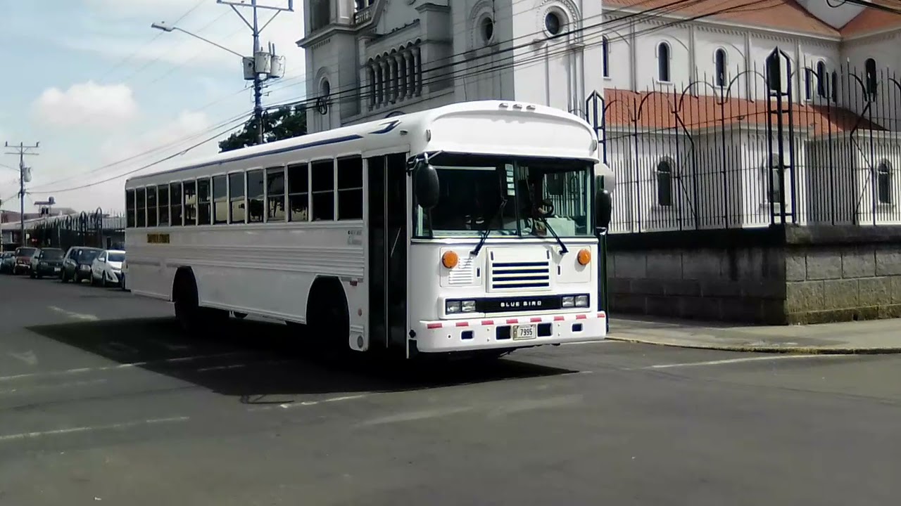 Blue Bird All América A3FE - Caterpillar C7 Acert. - YouTube