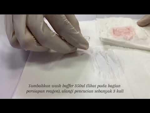 Vidio Kelompok B3 | Pemeriksaan Hormon FT3 dengan menggunakam Alat ELISA - YouTube