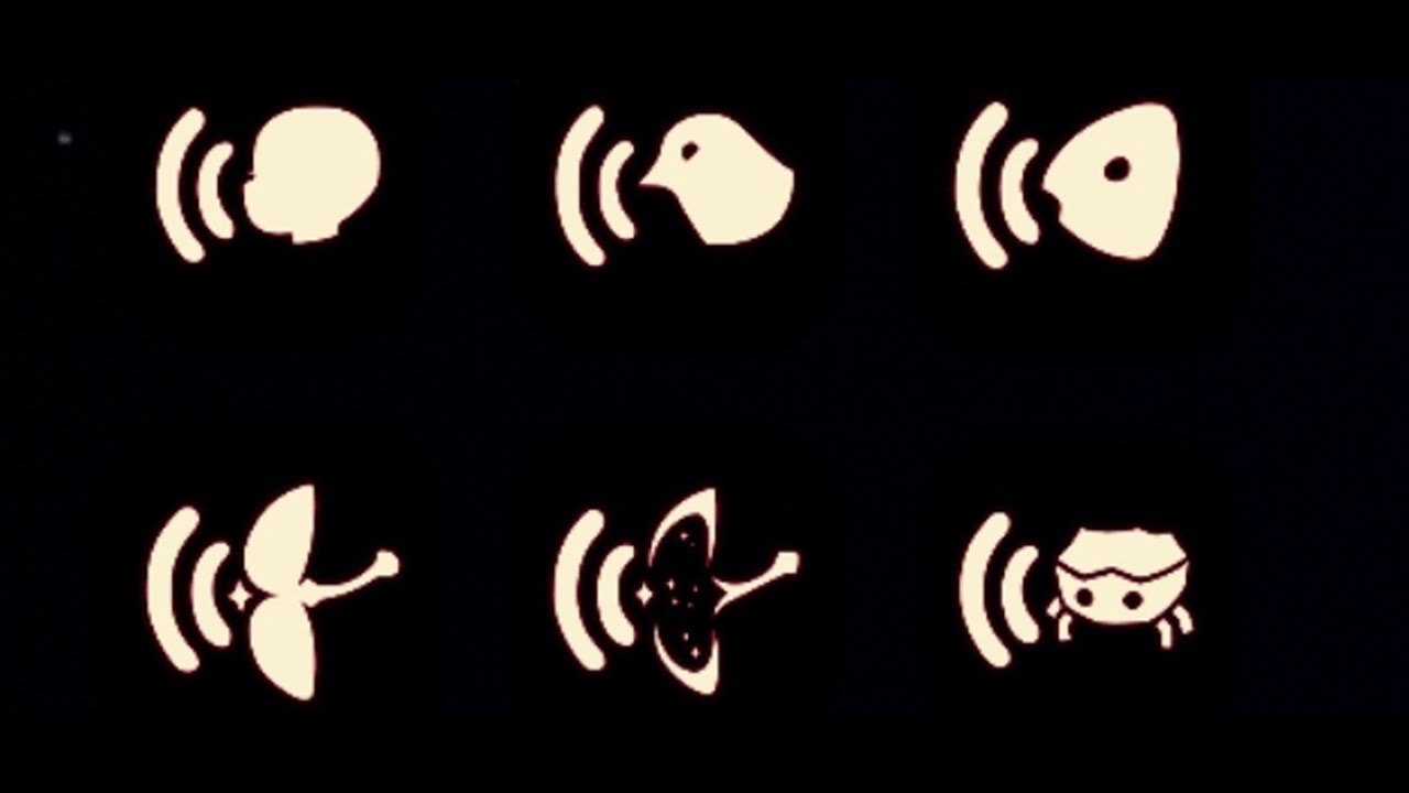 Sky honk | Skykids honk | Sky shout | Skykids Shout | Sky Audio | Sky ...