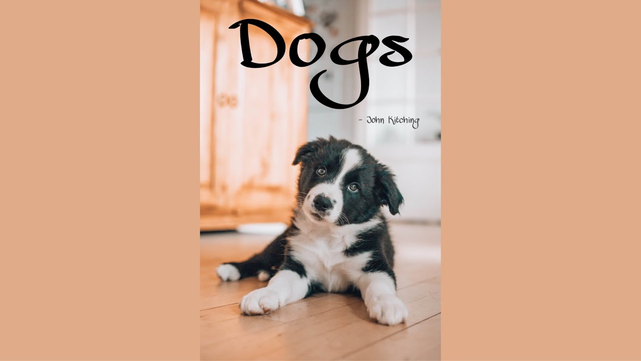 Dogs - John Kitching / Class 2 Poem English / ICSE / New Mulberry ...