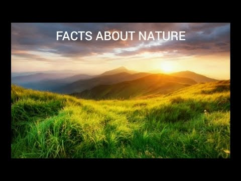 Top 16 Intersting facts about Nature - YouTube