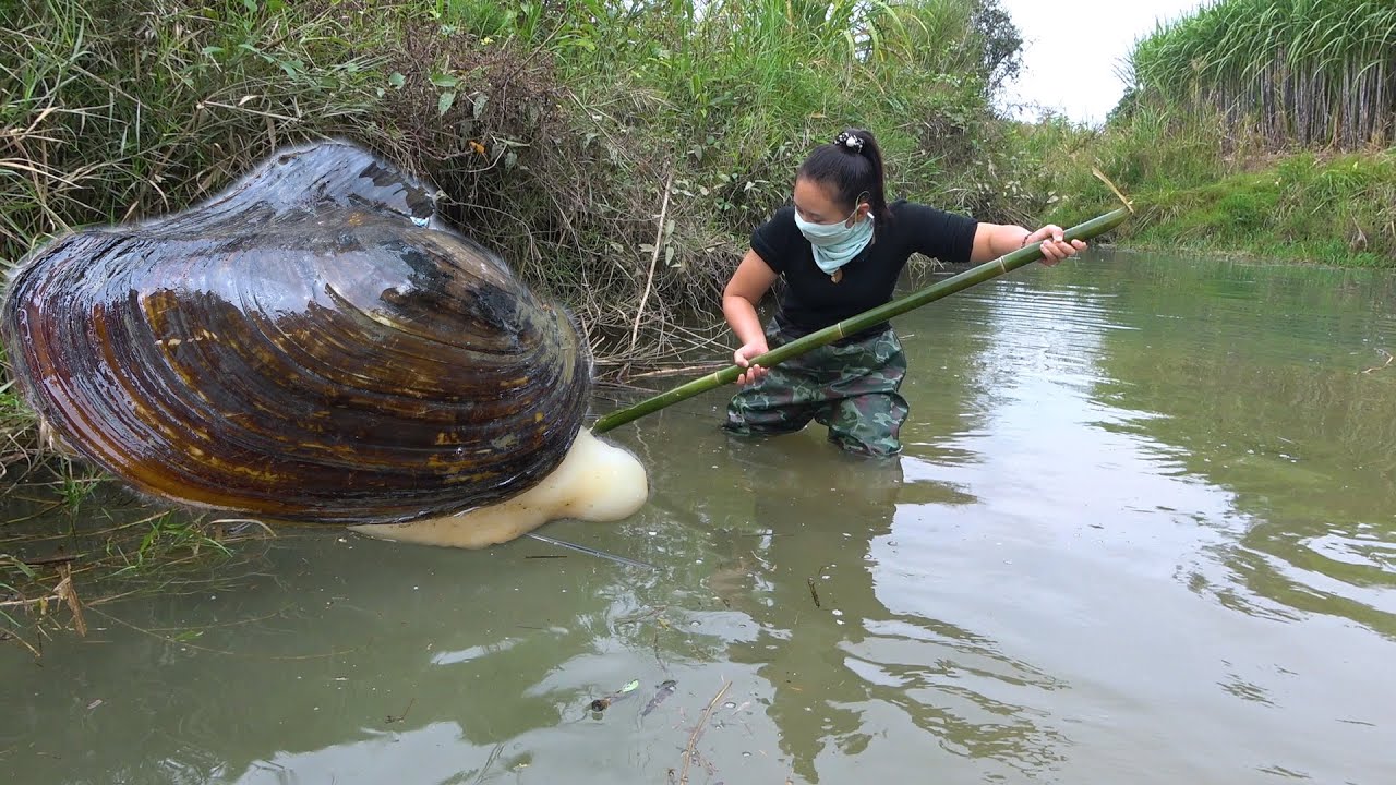 A huge pearl clam was found by the village flower river, containing ...