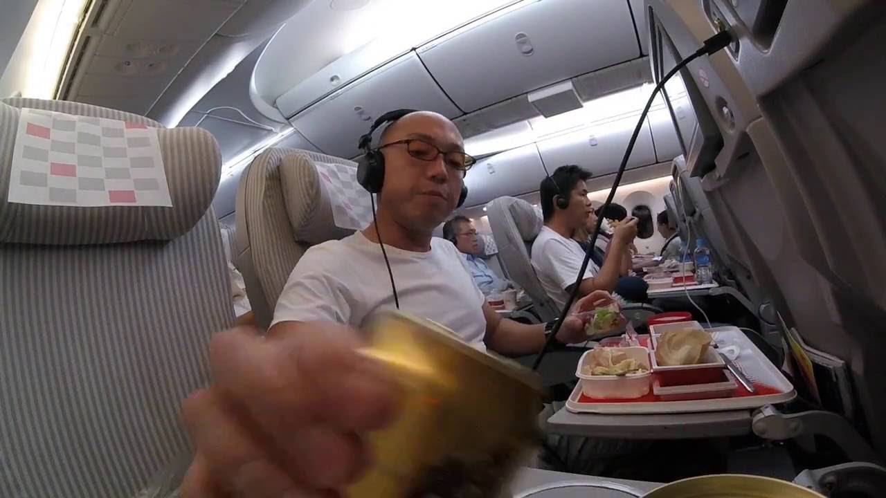 Japan Airlines flight JL 707: Narita to Bangkok economy class ...