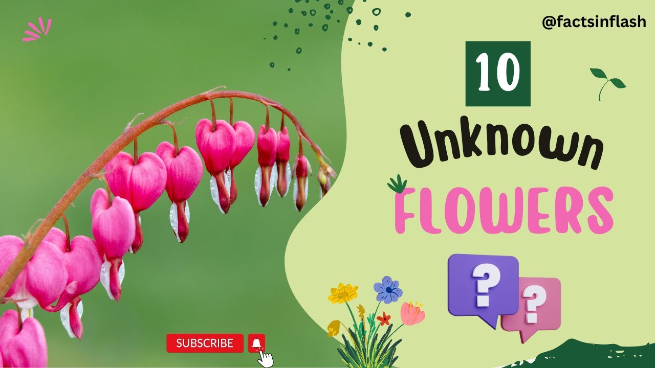 10 UNKNOWN FLOWERS on the EARTH - YouTube