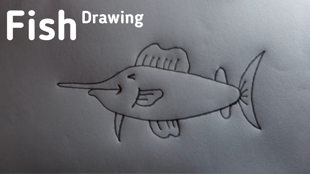 Very Easy Fish Drawing. - YouTube