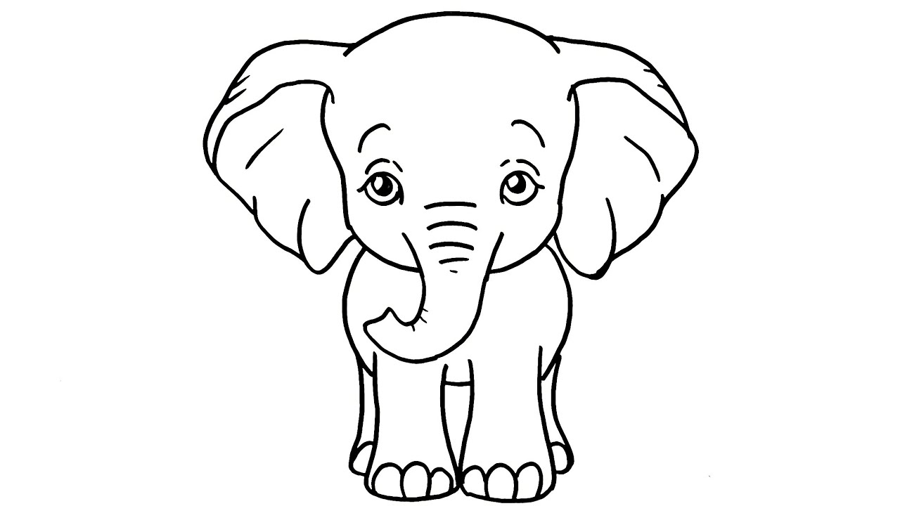 How to Draw a Cute Elephant | Elephant Drawing - YouTube