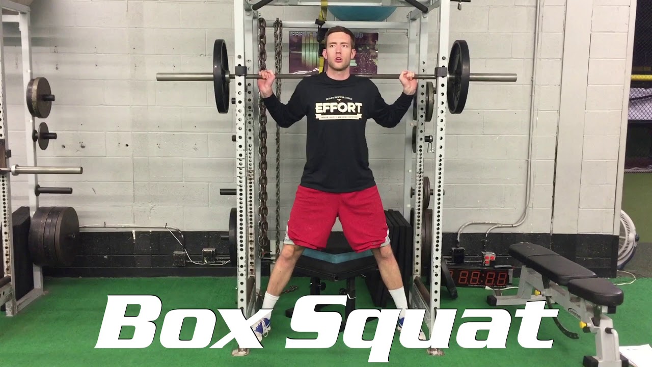 Box Squat - YouTube
