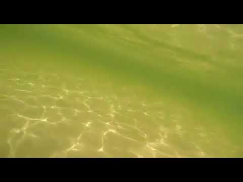 Catching garrick in swartvlei estuaries , western cape south africa ...