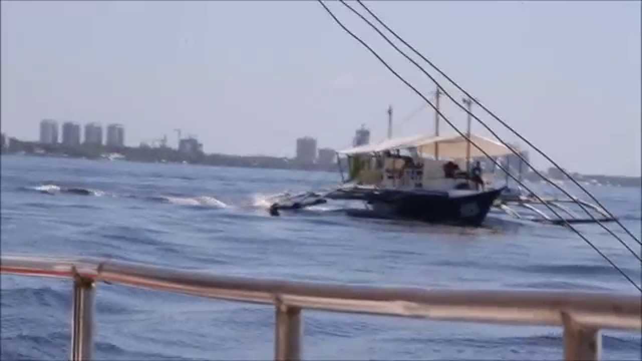 Summer sa BARKO - YouTube