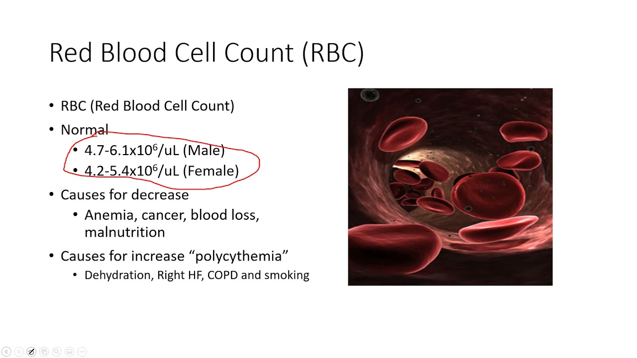 Acute Care Physical Therapy 5: Complete Blood Count (CBC) - YouTube