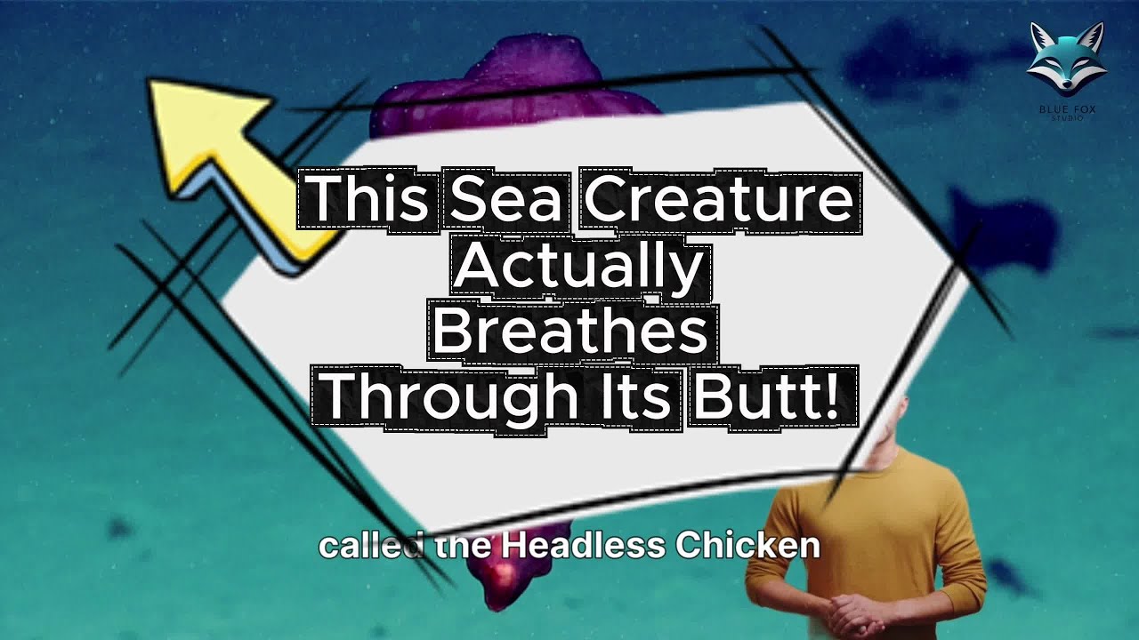 This Sea Creature Actually Breathes Through Its Butt! - YouTube