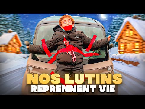 NOS LUTINS REPRENNENT VIE !!!