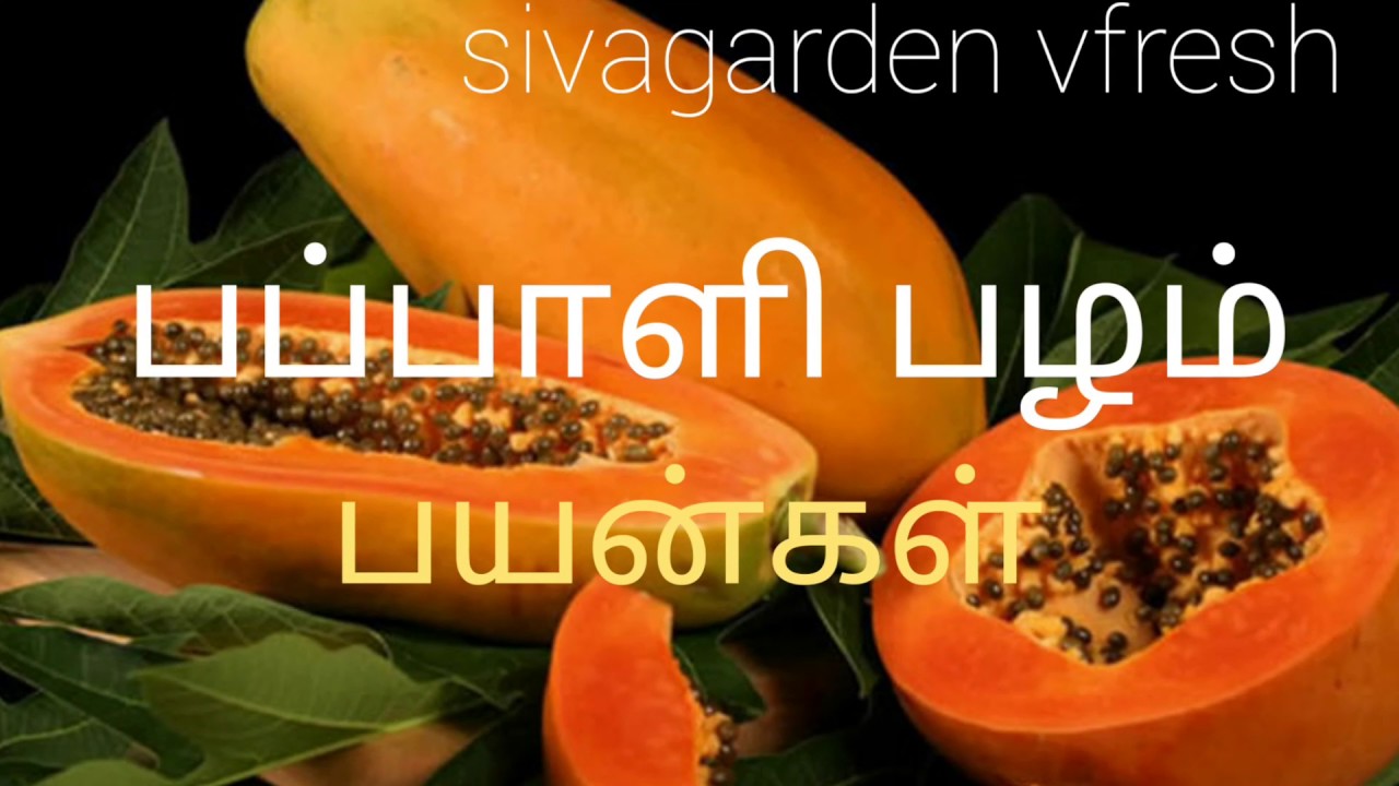 Pappali Pazham Papaya fruit Benefits - YouTube