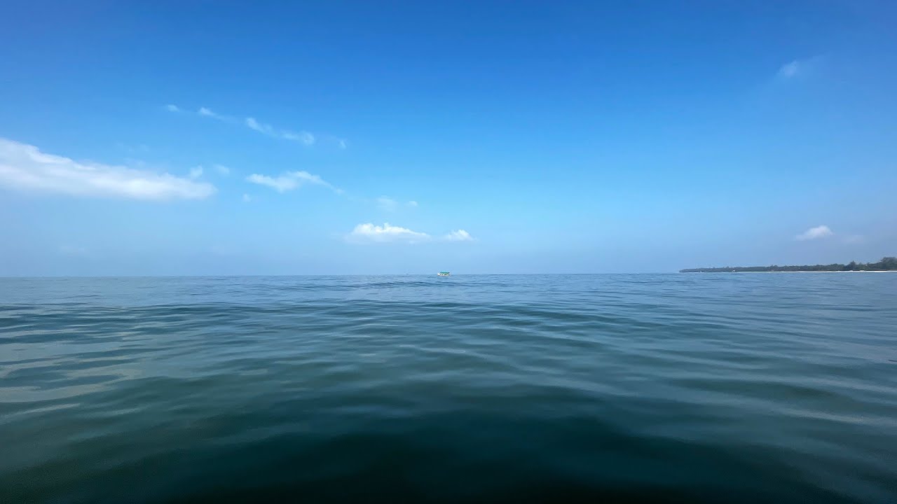 Devbagh – Dolphin Sighting - YouTube