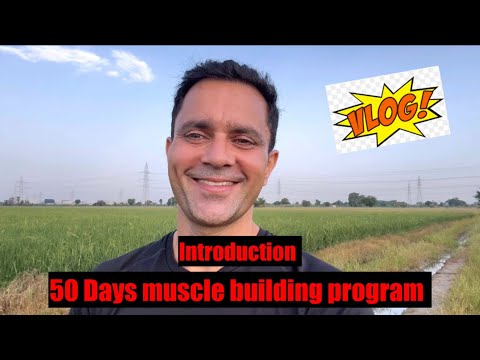 "50-Day Muscle Building Program: Workouts, Nutrition, & Supplements ...