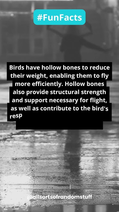 Why do birds have hollow bones? #funfacts #facts #shorts - YouTube