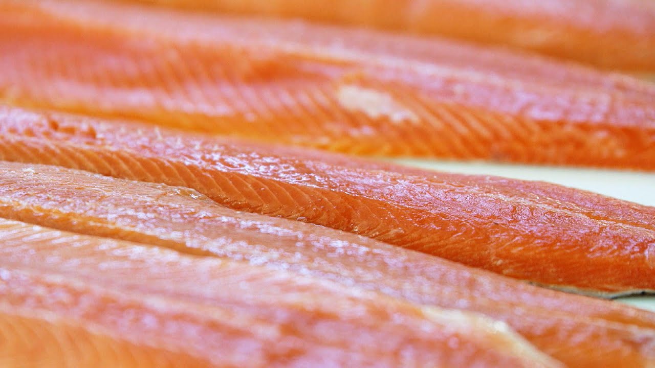 Fish Farm of the Future Goes Vegetarian to Save Seafood - YouTube
