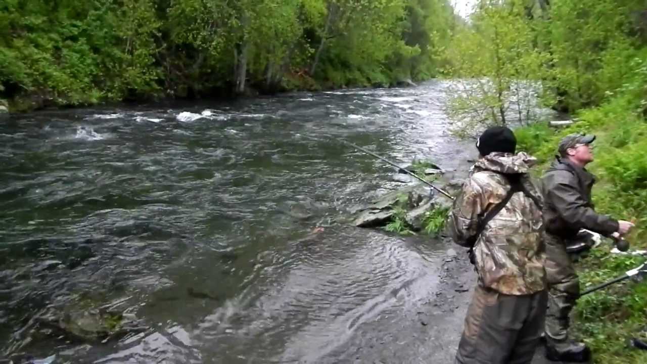 Russian River Red Midnight Run Alaska June 12-13, 2012 - YouTube
