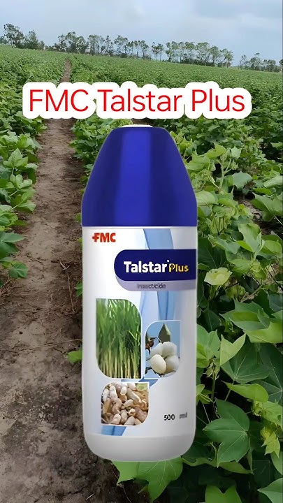 FMC Talstar Plus Bifenthrin 8% + Clothianidin 10% SC Insecticide#insecticide#fertilizer 🌿 - YouTube