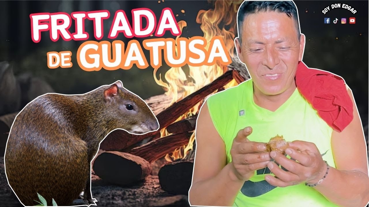 Hice fritada de Guatusa en mi finca 😋👨🏼‍🌾 - YouTube