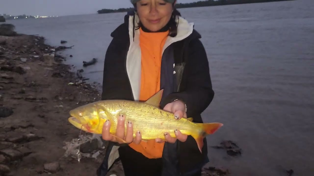 VOLVIERON ESTOS PECES AL PARANA? Pesca de variada en P. ESTHER. PATI ...