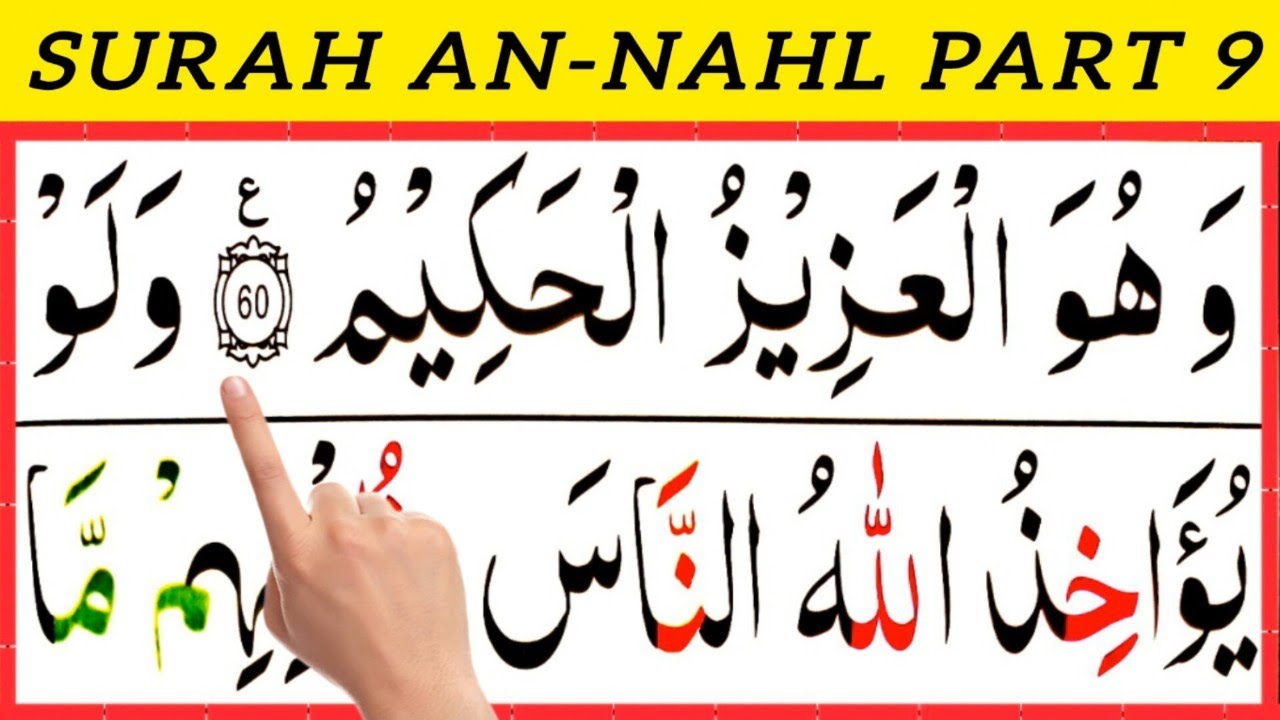 Surah An-Nahl Part 9 Ayat 61-66 Para 14 Rubama/Learn Quran With Tajweed ...