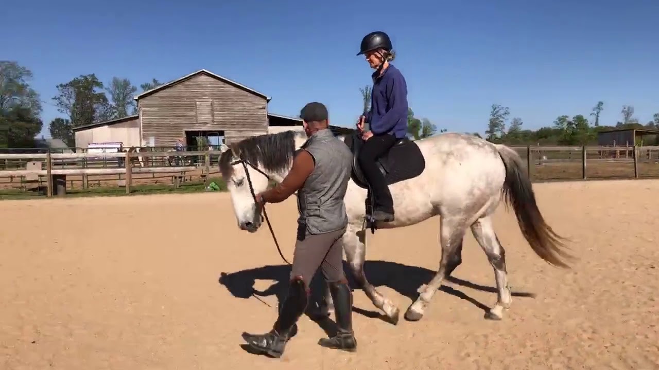 The PRIMARY function of the rider's AIDS - YouTube