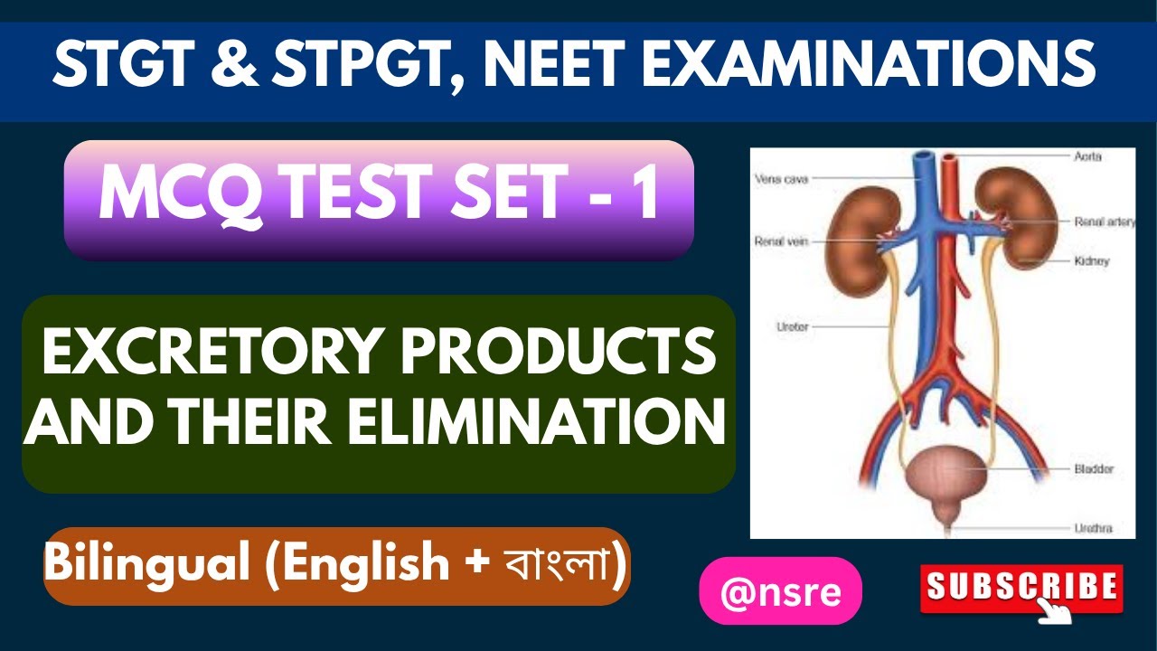 Excretory System MCQ Test | Human Excretion NEET AIIMS STGT STPGT TBJEE ...