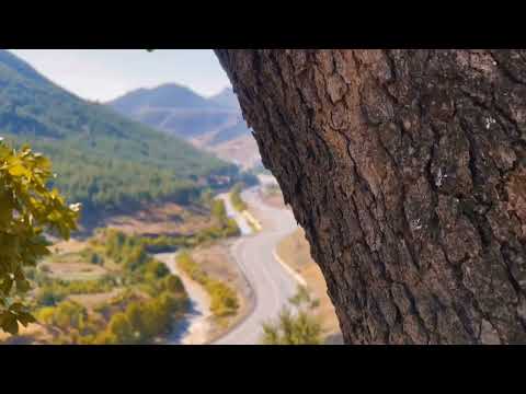 ŞAKİRO SEBRAMIN NAYE 🌿 BAYKAN...