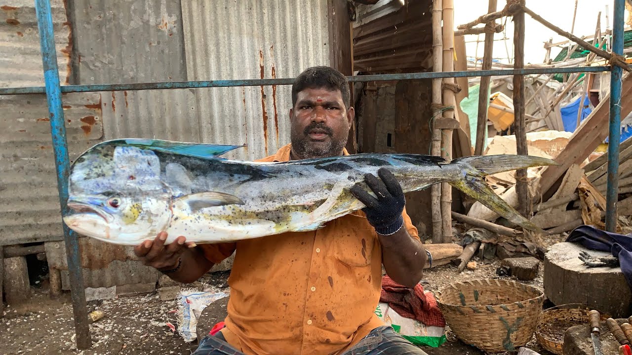 It’s an awesome mahi mahi fish 😯kasimedu fish cutting 🔪 - YouTube