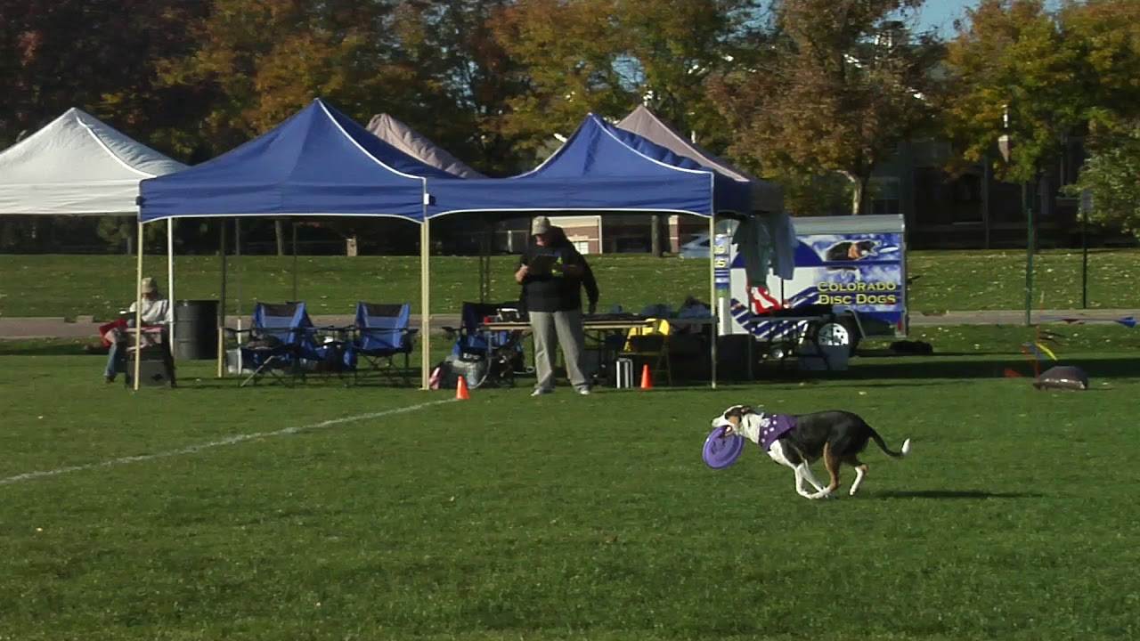 Russ Friesen & Mighty Arrow - UFO Finals - Oct 2017 - T&C Round 2 - YouTube