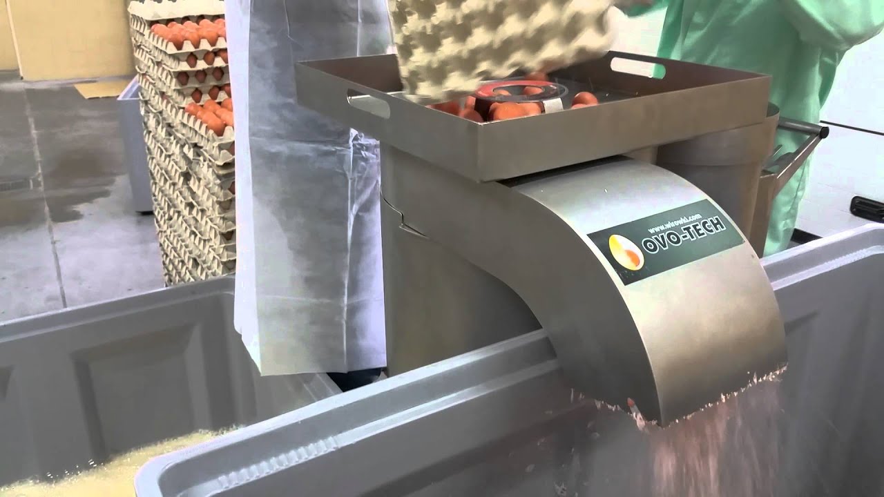 Egg Centrifuge UDTJ—420, shell dryer Automatic, Wirówka UDTJ—420 ...