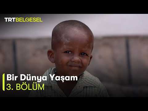 Bir Dünya Yaşam 3. Bölüm | Etiyopya’nın Afar Sofraları | TRT Belgesel