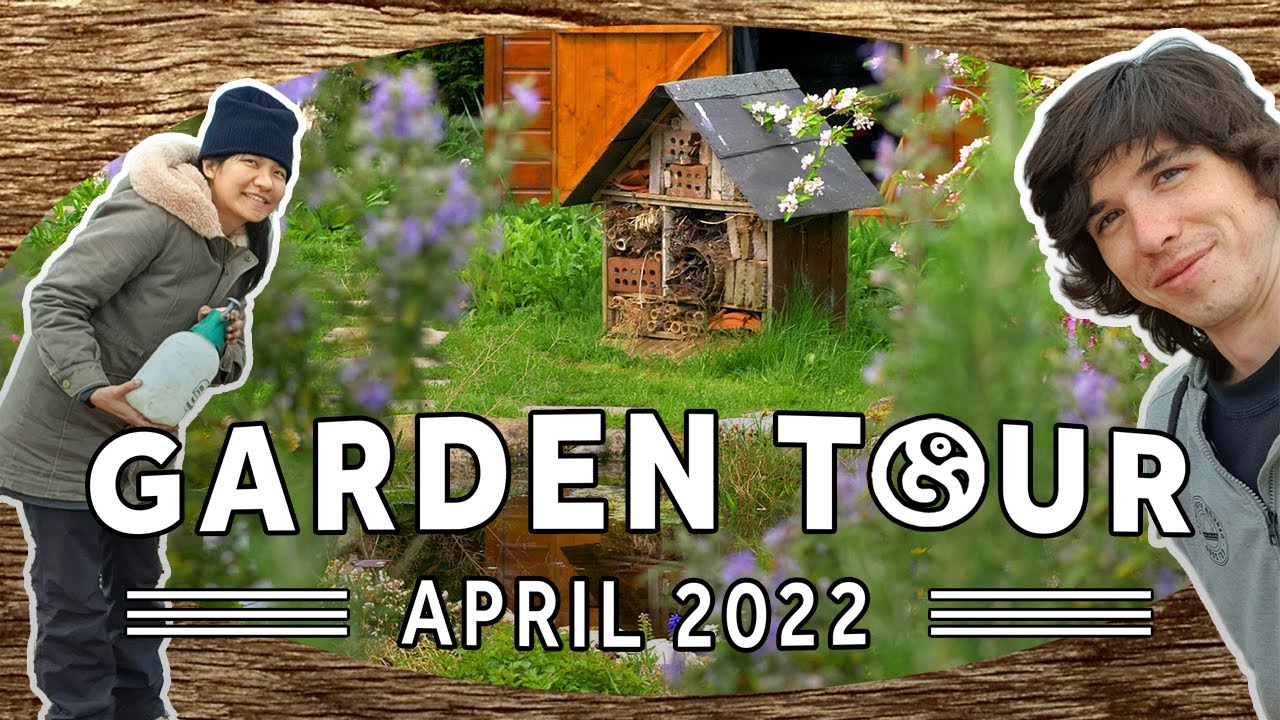 Our 2nd season no dig market garden and food forest in late April - YouTube