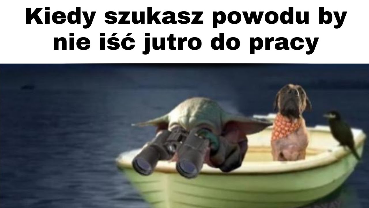Memy o Pracy 🤣 | PRACA MEMY | Polskie memy 2024 | Memy po Polsku ...