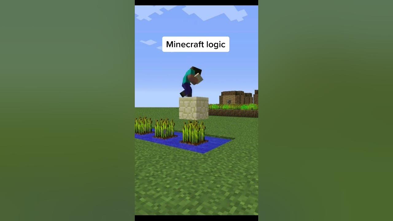 in what year did minecraft come out #minecraft #gaming #funny # ...