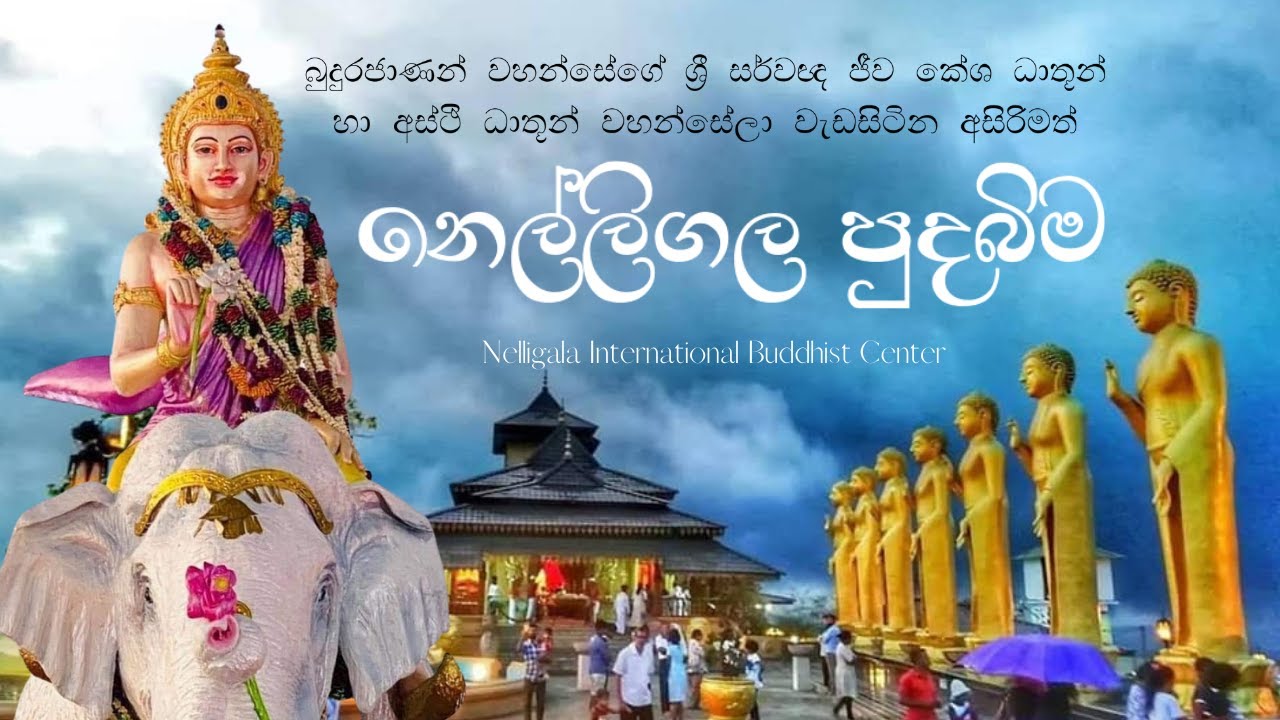 Nelligala international Buddhist center|nelligala|Travel with udeshi ...