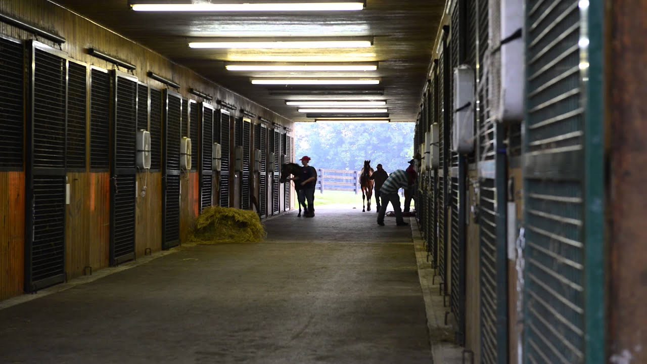 Elm Tree Farm - YouTube