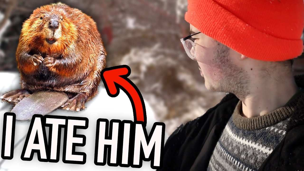 Canadian Beaver CATCH & COOK! (Amazing Results) - YouTube