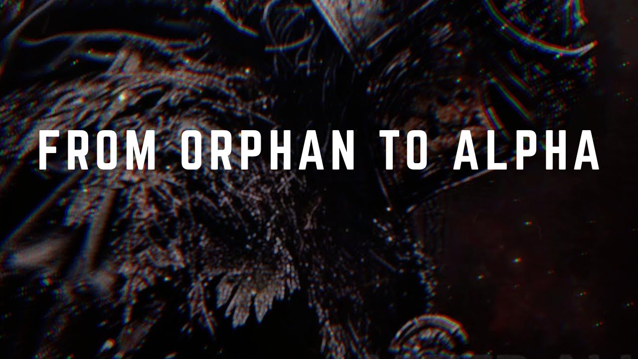 FROM ORPHAN TO ALPHA | Savage Dark Motivation - YouTube