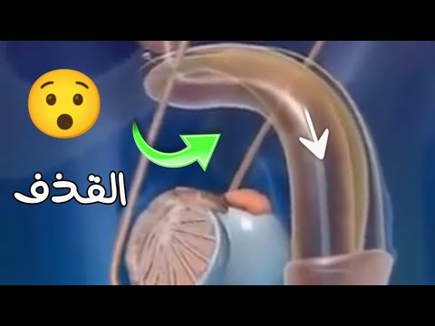 سرعة القـذف عند الرجال أثناء العلاقة - YouTube